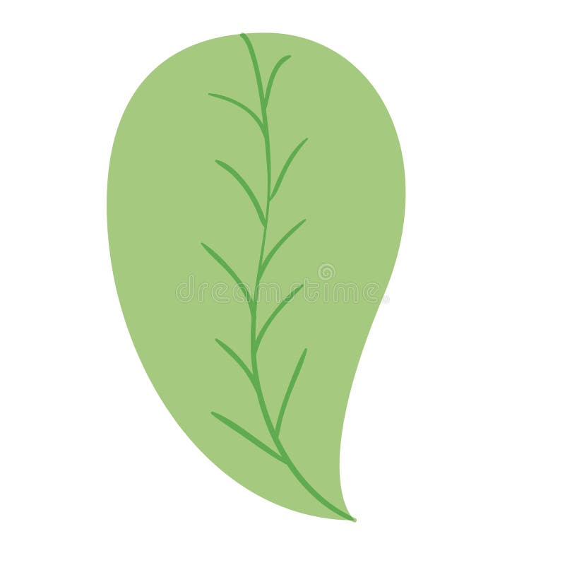 Leaf Single Decorative Icon Stock Vector - Illustration of decor ...