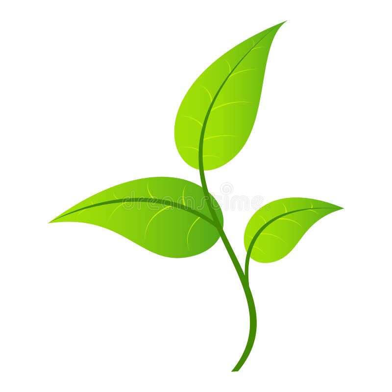 Single Green Leaf Logo