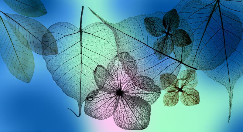 Veins from Plant Leaf Under Microscope Stock Photo - Image of medical ...