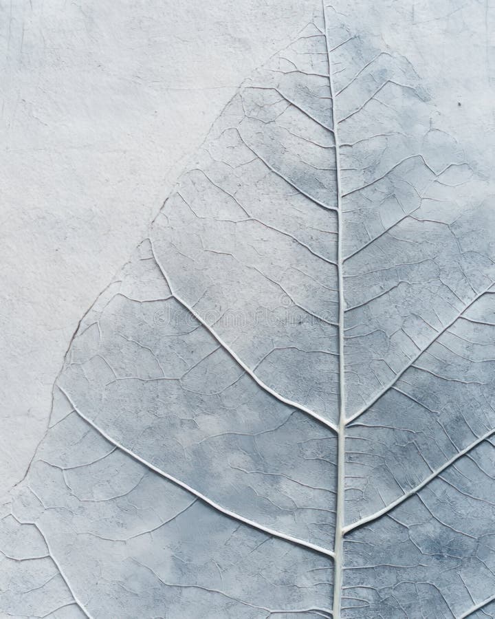 Organic Delicate Pattern Stock Illustrations – 122,885 Organic Delicate Pattern Stock ...