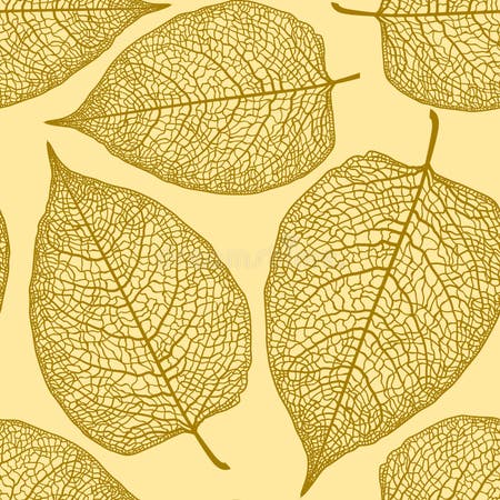 Leaf Skeleton Pattern Stock Illustrations – 2,967 Leaf Skeleton Pattern ...