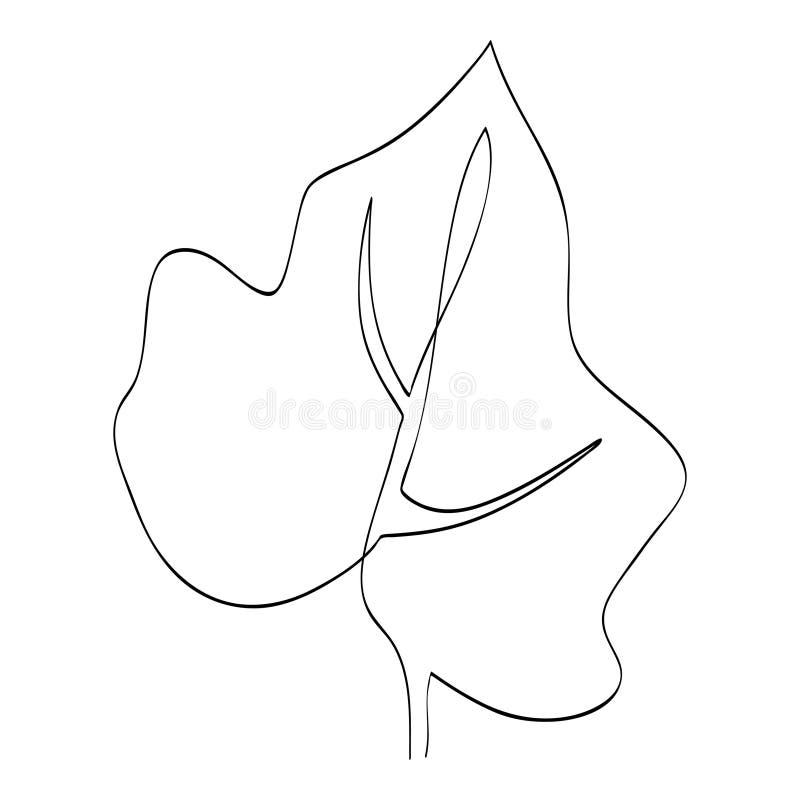 Simple Ivy Leaf in Sketch Vector Single or Continuous Line Art Stock ...