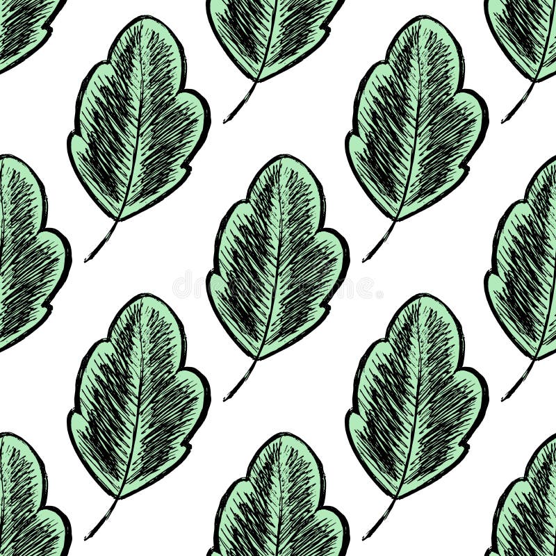 Stylized Leaf - Vector Illustration by Thin Lines. Leaf Twig Tree, Bush ...