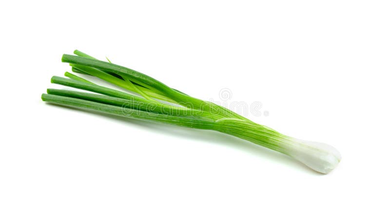 Leaf Spring Onion Isolated on White Background ,Green Leaves Pattern ...