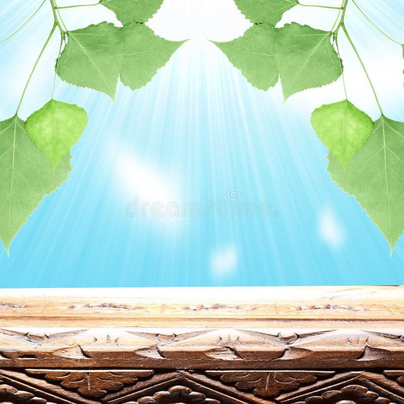 Leaf stock image. Image of beautiful, beauty, hibiscus - 73487619