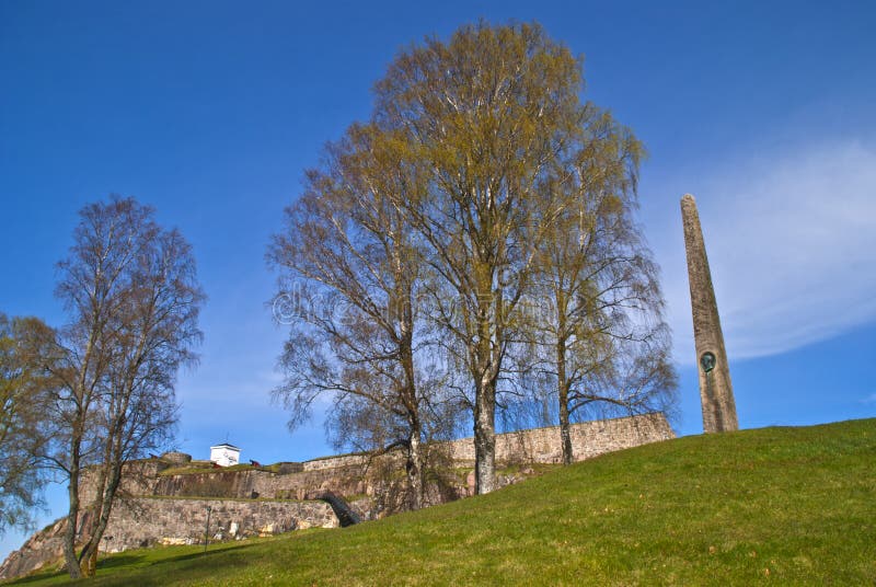 Leaf springs out stock image. Image of birch, beautiful - 24643623