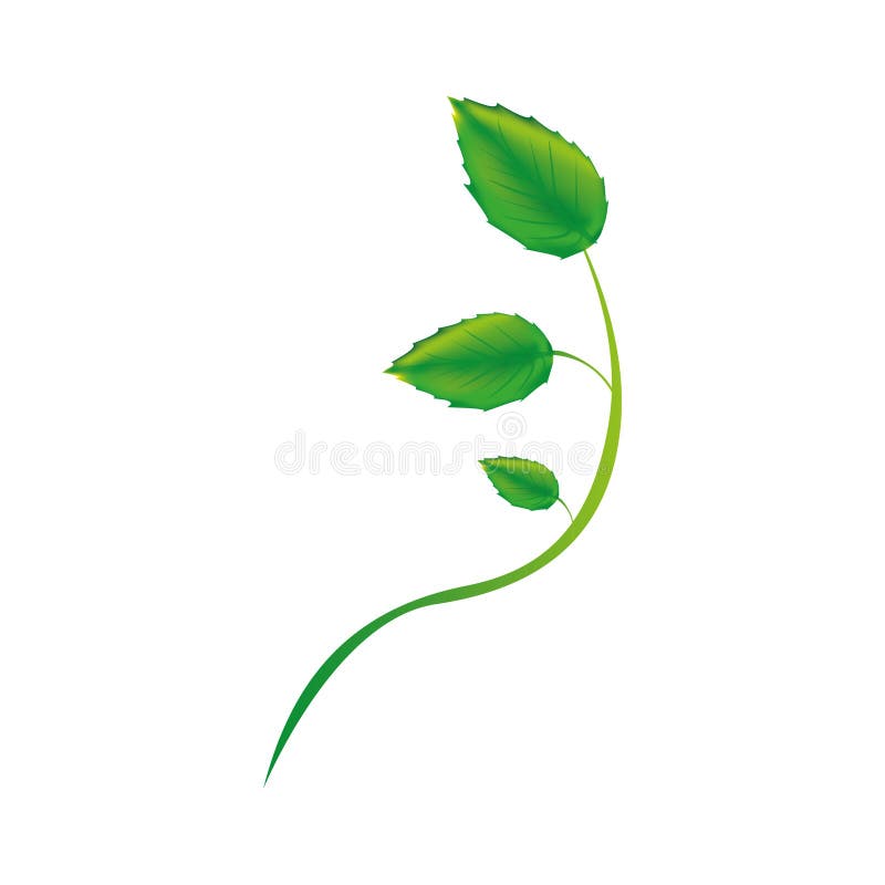 Leaf sprout icon image stock vector. Illustration of develop - 80321402