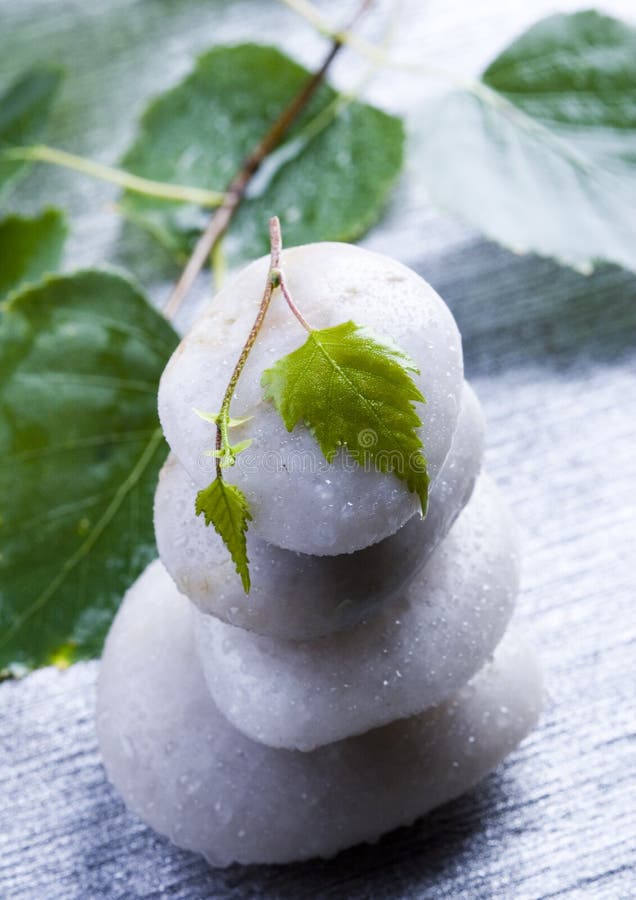 Leaf & Stone stock image. Image of freshness, pampering - 2873217