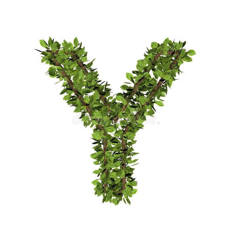 Leaf Style Letter Y. 3D Render of Grass Font Stock Illustration ...