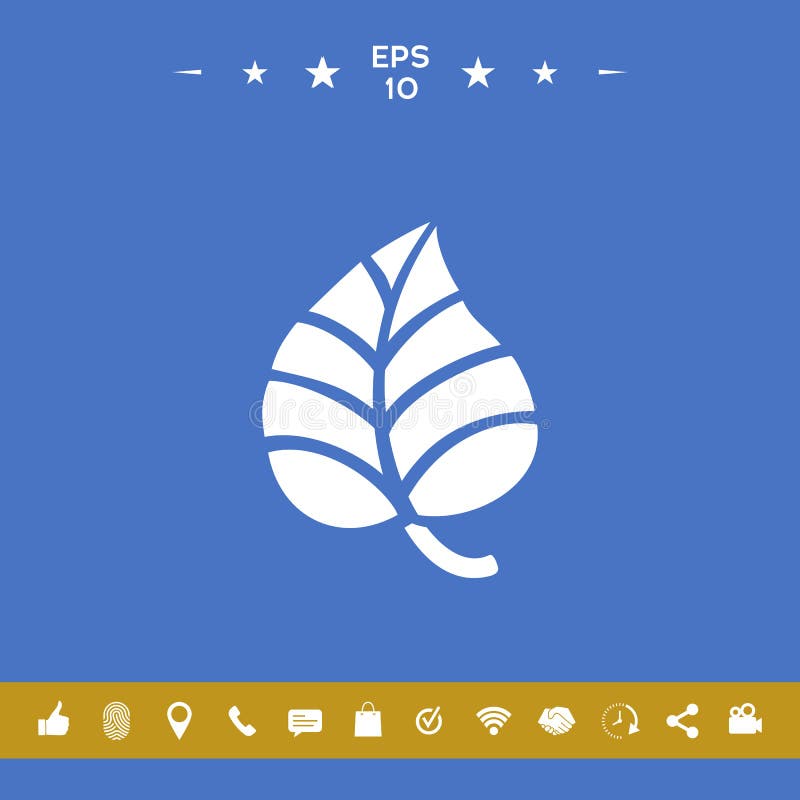 Leaf symbol logo. stock vector. Illustration of fashion - 131114101