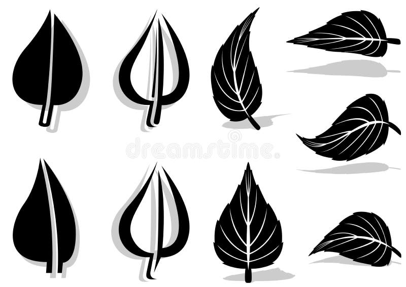 Leaf Symbol stock vector. Illustration of nature, shape - 70565886