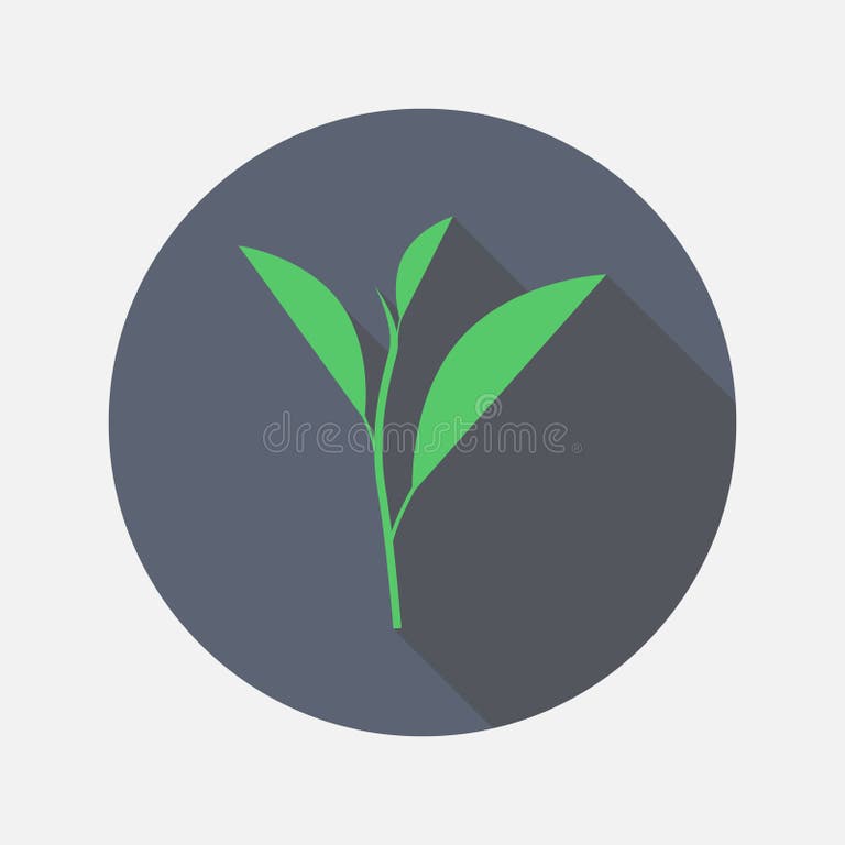 Icon Leaf Tea Stock Illustrations – 41,442 Icon Leaf Tea Stock ...