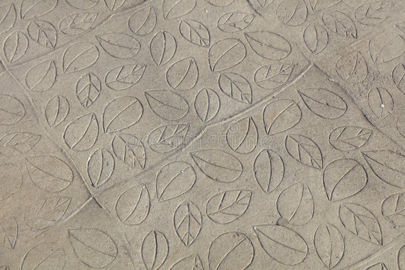 Leaf Texture on the Cement Floor Stock Image - Image of ground ...