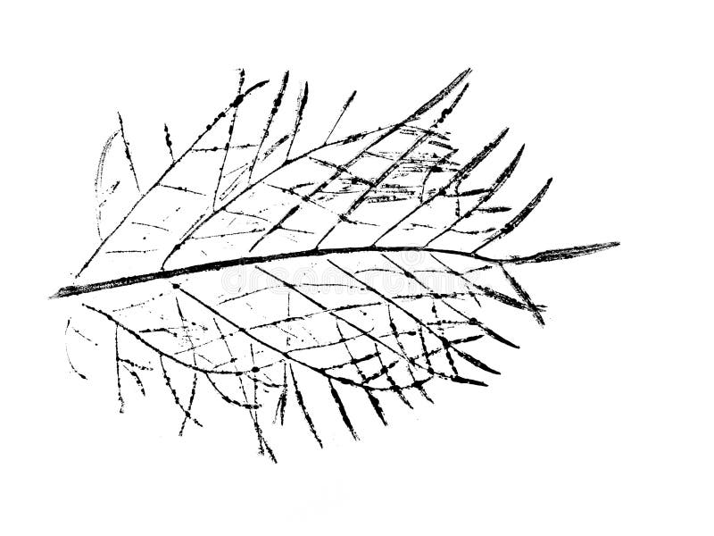 Leaf Texture Imprint on White Paper Stock Photo - Image of backdrop ...