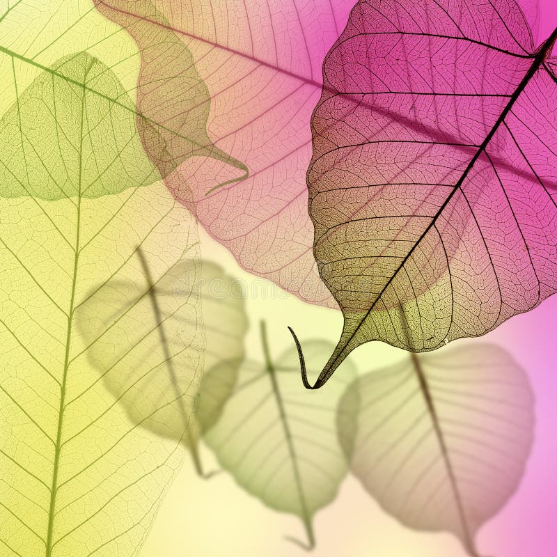 Leaf Texture Pattern, Leaf Background with Veins and Cells Stock Image ...