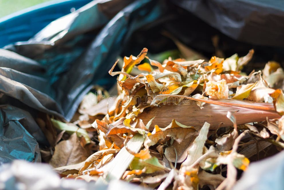 Leaf Trash stock image. Image of gardening, garden, recycle - 41220933