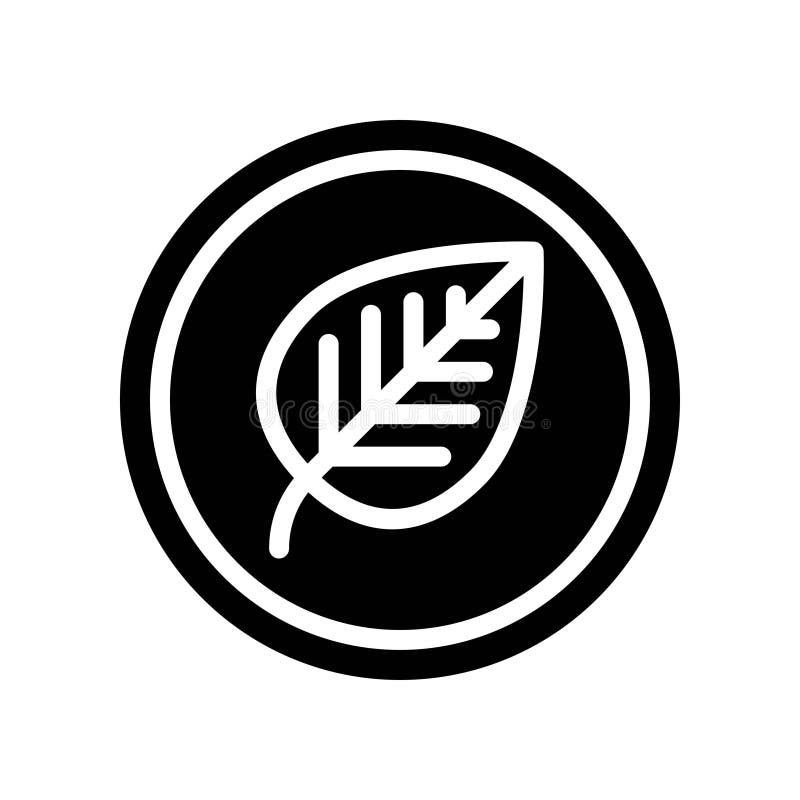 Leaf Vector, Back To School Solid Style Icon Stock Vector ...