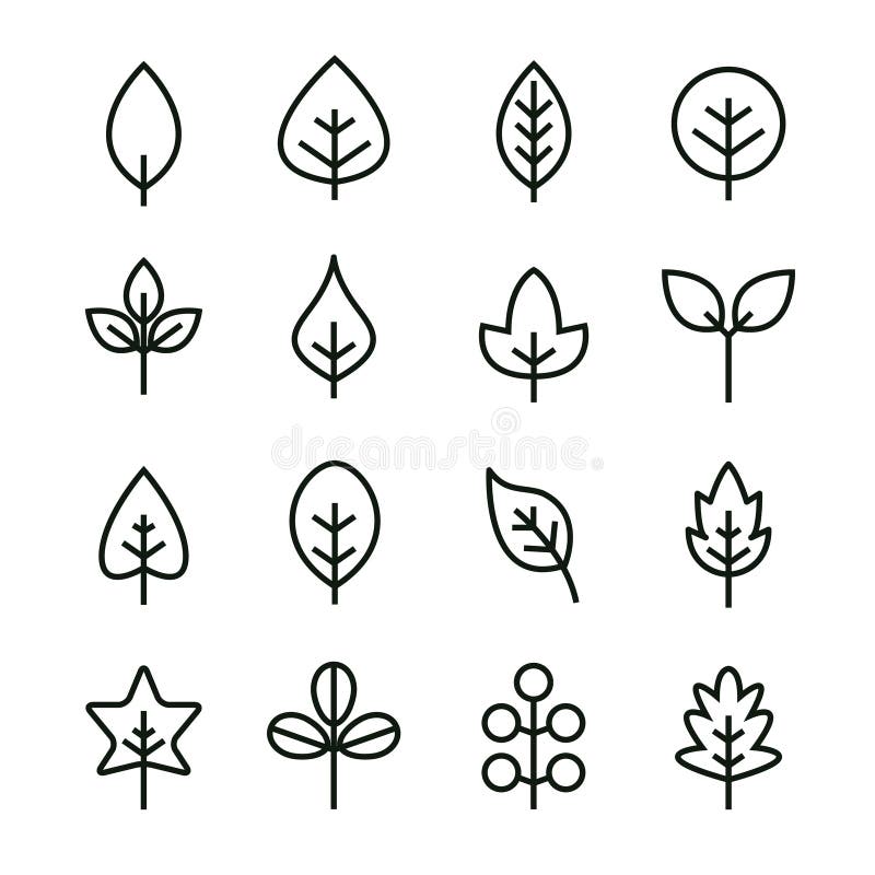 Leaf Vector Design Line Icon. Green Line Leaf Plant Outline Symbol ...
