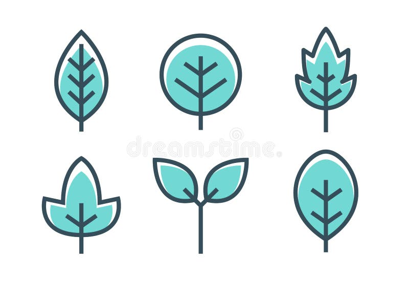 Leaf Vector Design Line Icon. Green Line Leaf Plant Outline Symbol ...