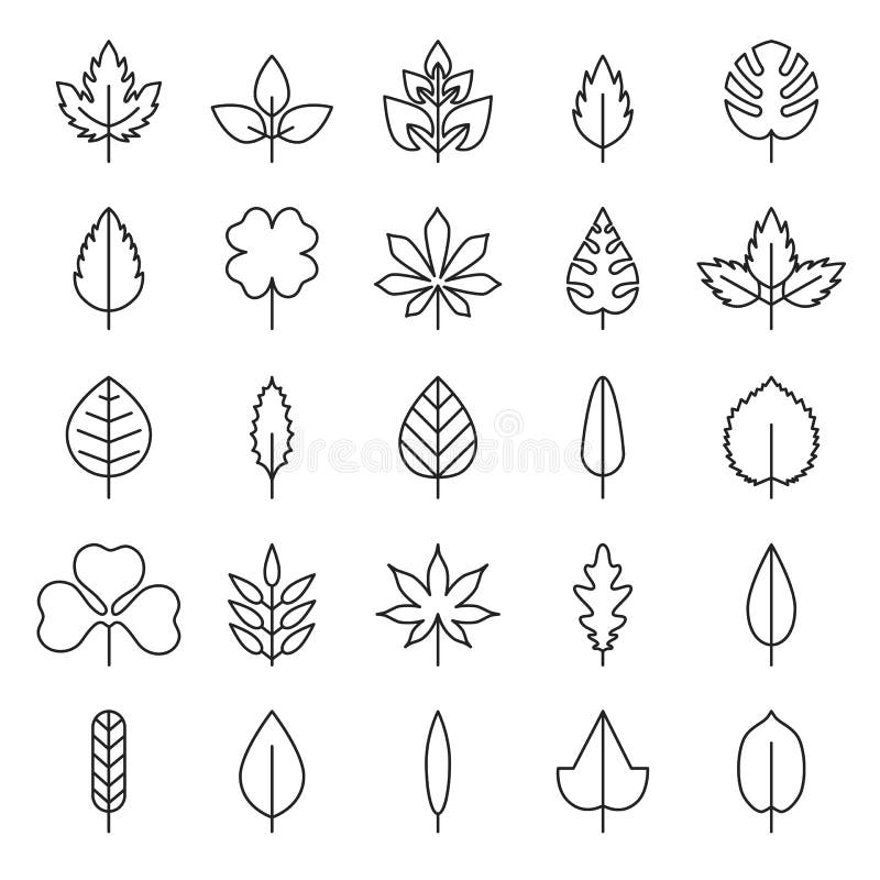 Leaf Vector, Flora, Linear Style Black Contour Stock Vector ...