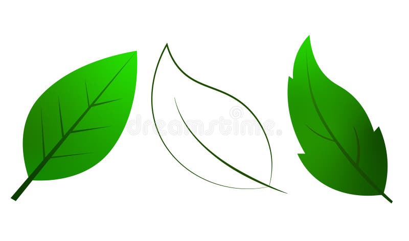 Leaf Vector with Green Colour and Transparent Color Stock Vector ...