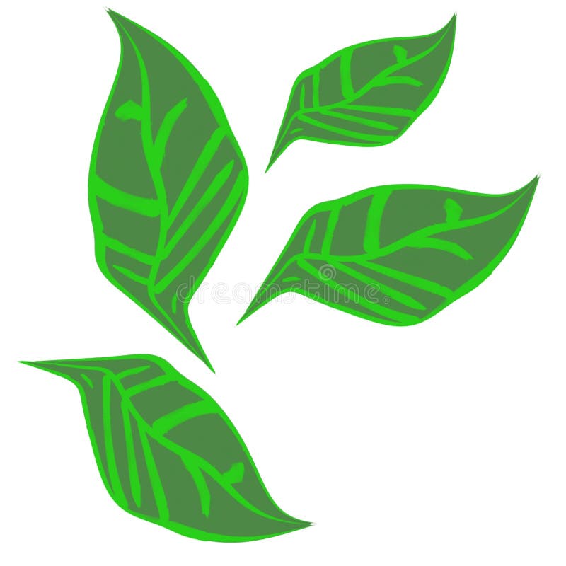 Leaf vector illustration stock illustration. Illustration of evening ...