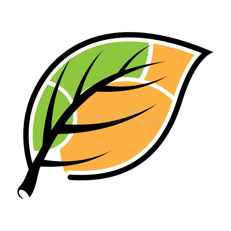 Leaf vector logo template stock vector. Illustration of decoration ...