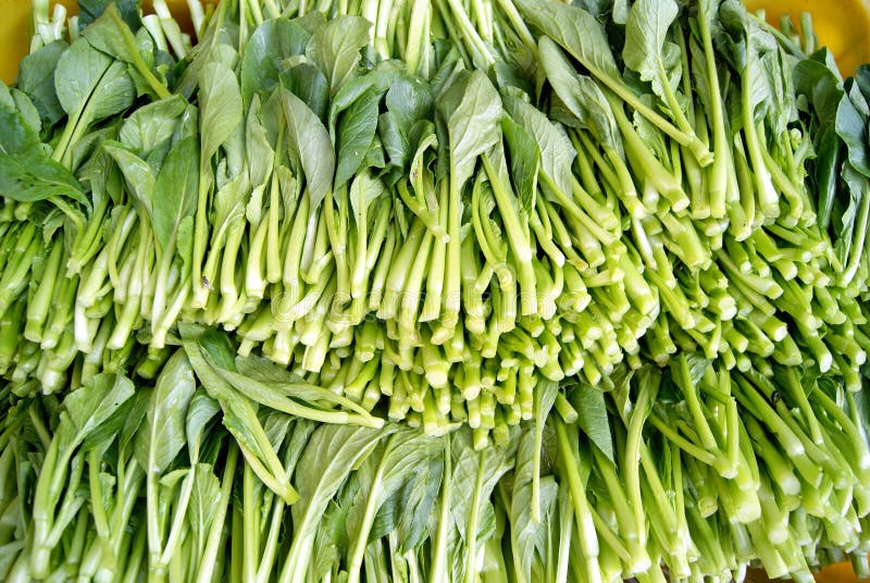 Leaf vegetables stock photo. Image of vegetables, ingredients - 21981590