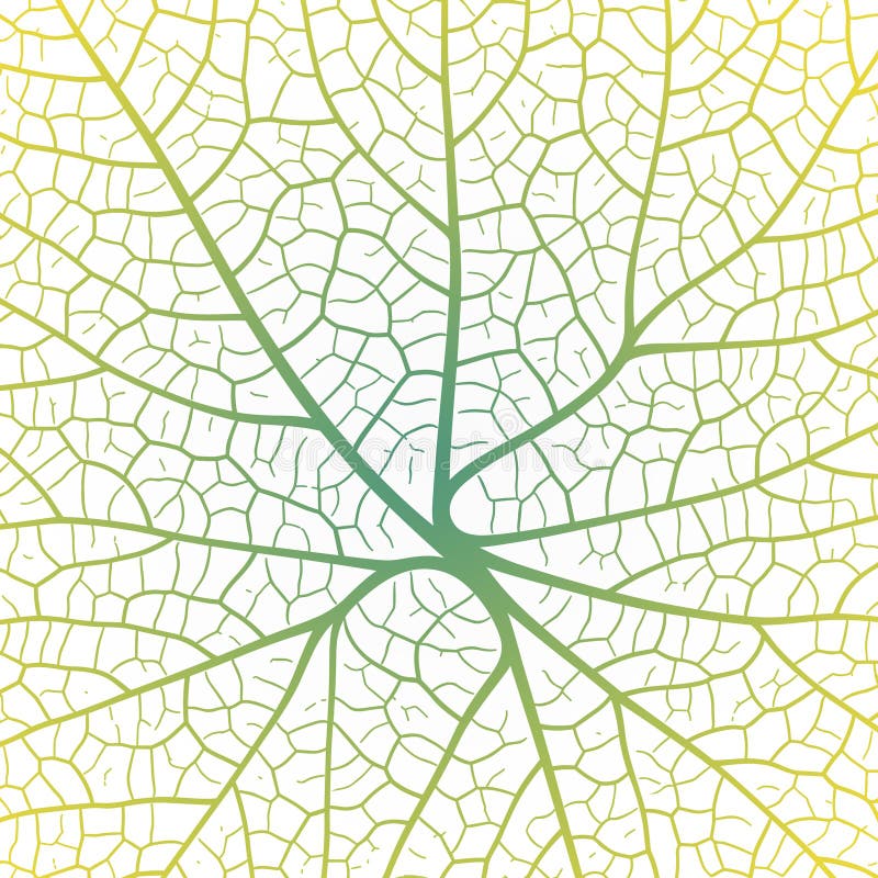 Leaf Vein Texture Abstract Background with Close Up Plant Leaf Cells ...
