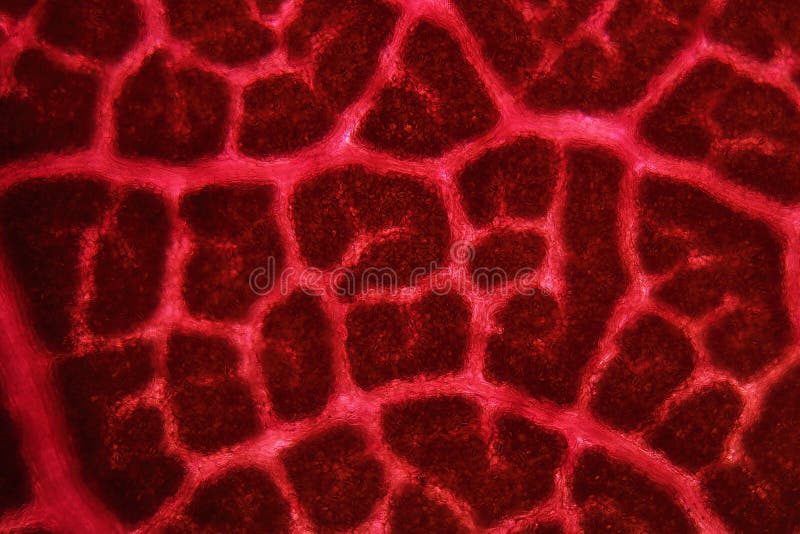 Gray Marble Texture with Subtle Grey Veins Stock Photo - Image of ...