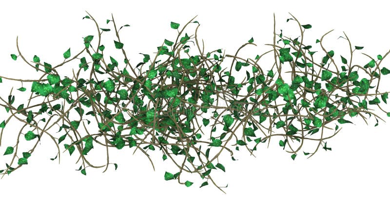 Tangled Vines Stock Illustrations – 915 Tangled Vines Stock ...