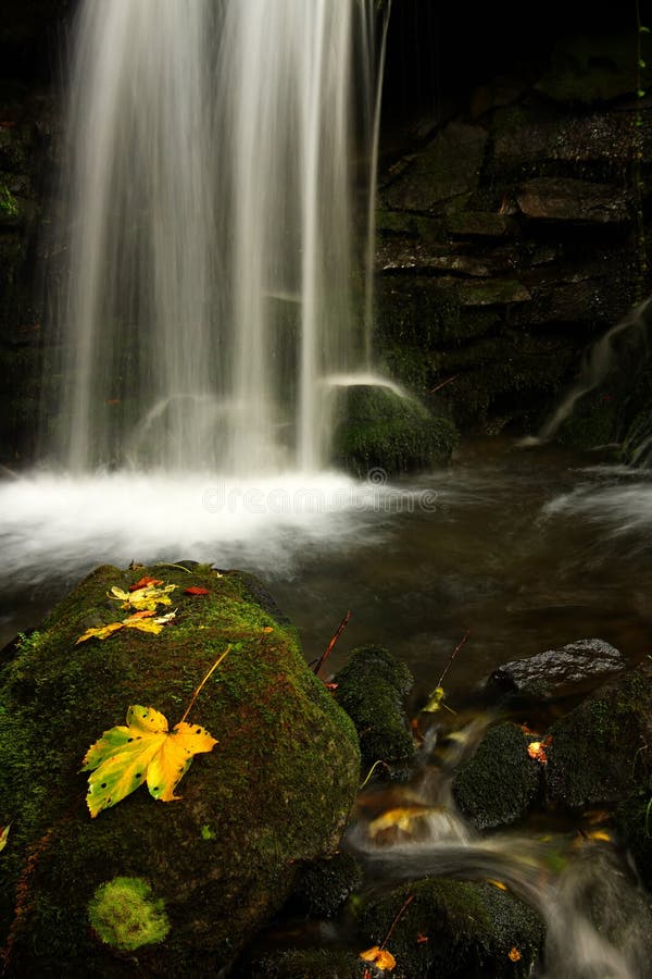 Leaf with waterfall stock photo. Image of rock, fantastic - 7102018