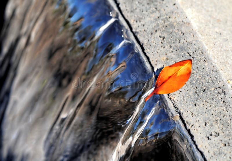 Leaf and Waterfall stock photo. Image of jungle, flower - 141919252