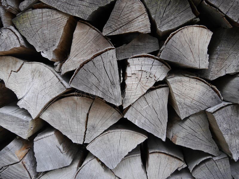 Leaf, Wood stock image. Image of wood, leaf - 128258253