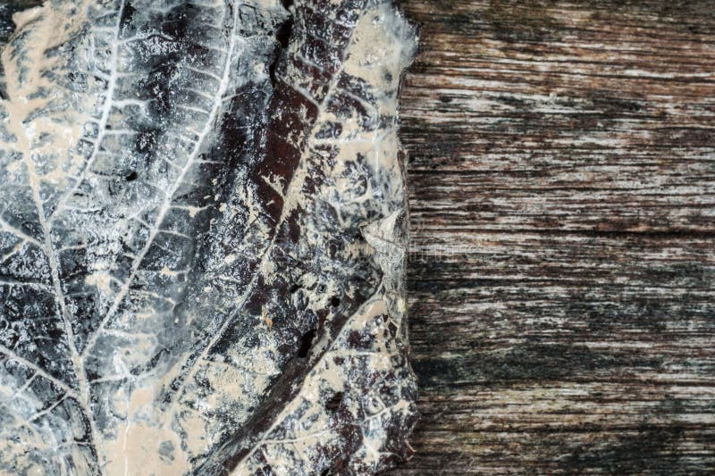 Leaf and Wood Grunge Texture Stock Image - Image of leaf, pattern: 39872665