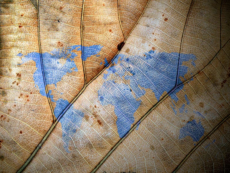 Leaf world map stock illustration. Illustration of china - 55916248