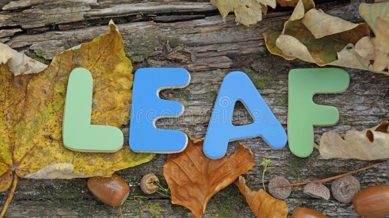 Leaf written stock photo. Image of seasonal, september - 34758424