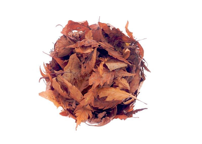 Leafball stock image. Image of leaves, season, dried - 11600763