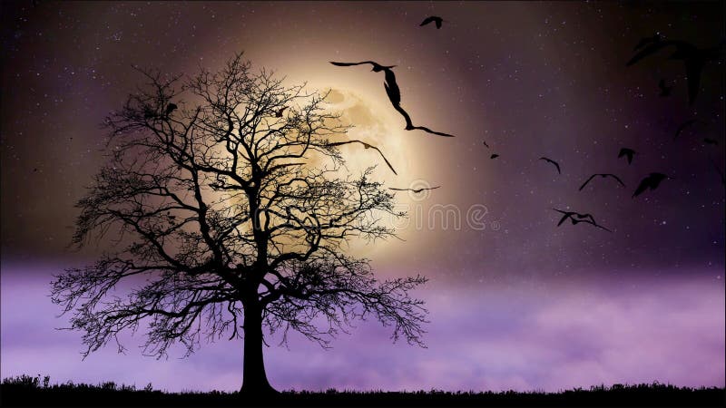 Leafless Bald Bare Tree, the Night Starry Sky with a Big Full Moon ...