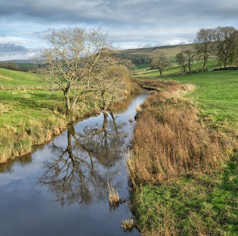 Reeflect Stock Photos - Free & Royalty-Free Stock Photos from Dreamstime