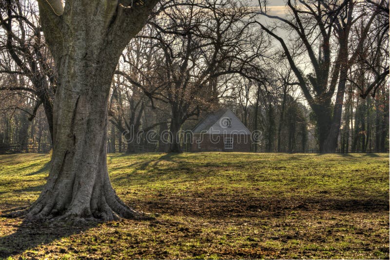 Oak trees on ranch stock photo. Image of trunk, travel - 29839030