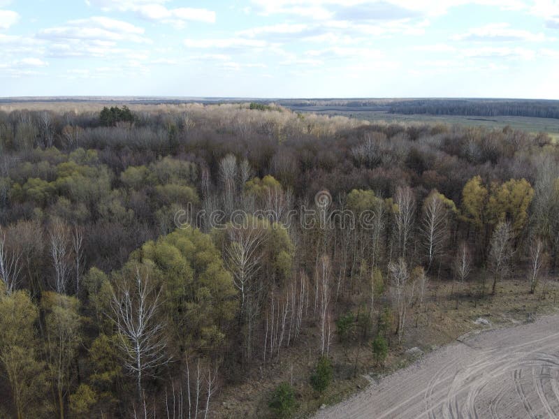 Leafless Spring Forest, Aerial View. Forest Terrain Stock Photo - Image ...