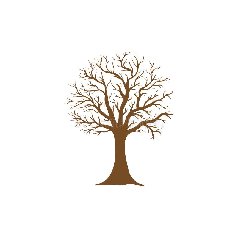 Leafless Tree Icon Design Template Vector Isolated Illustration Stock ...
