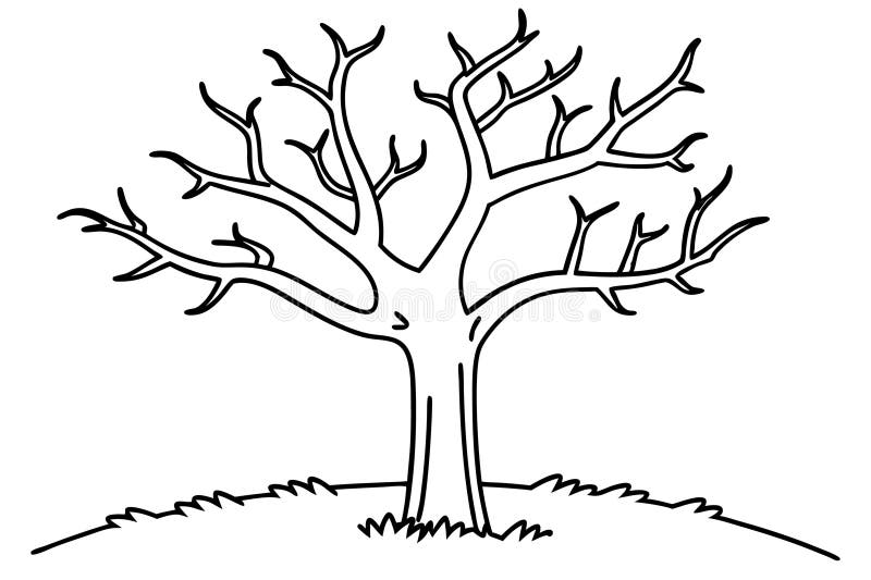 Leafless Tree Illustration in Winter Landscape Bare Branches ...