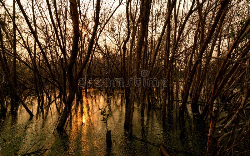 Change Pollution with Green Environment Stock Photo - Image of blue ...