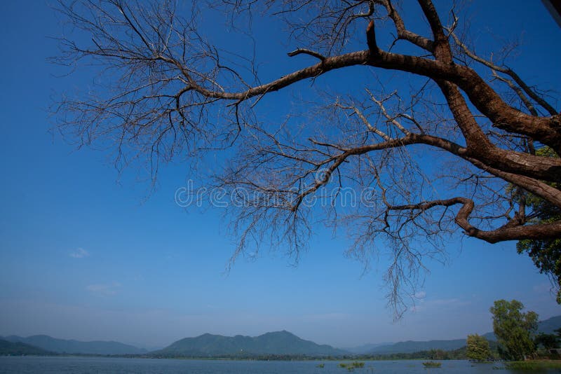Leafless Trees with a Backdrop of Sky, Rivers and Mountains Stock Photo ...