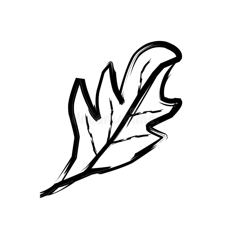 Leaflet Leaf Hand Brush Drawing Minimalistic Isolated Stylized Digital ...