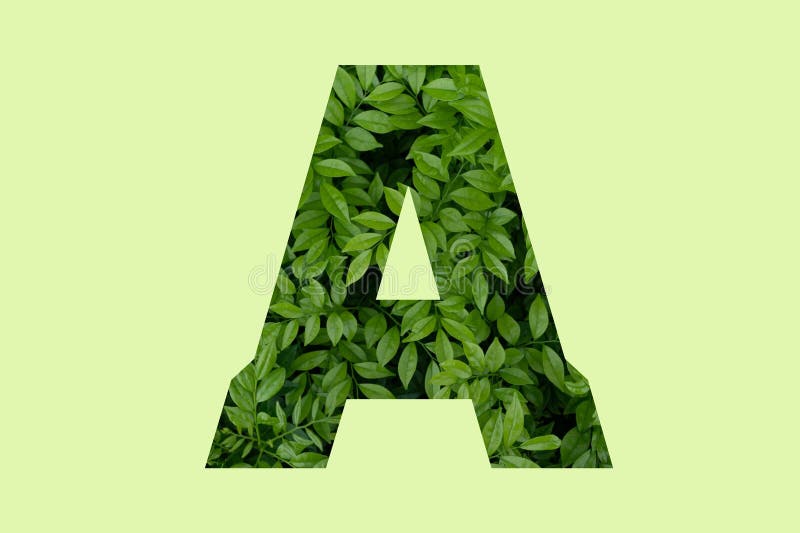 Leafs Font Letter a Made of Green Leaves Stock Illustration ...