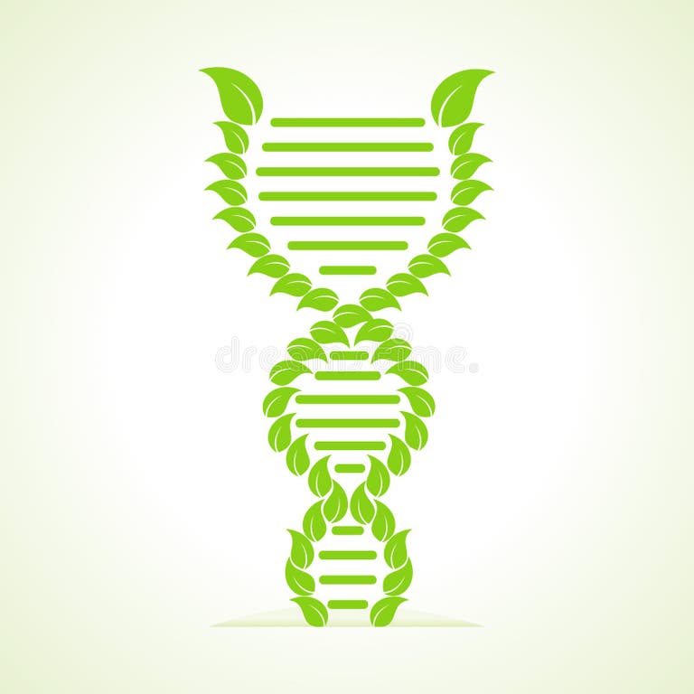 Leaf Strand Stock Illustrations – 436 Leaf Strand Stock Illustrations ...