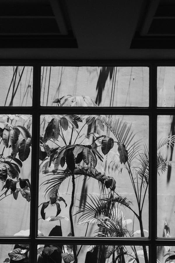 Monochrome Window Photo in Black and White Stock Image - Image of ...